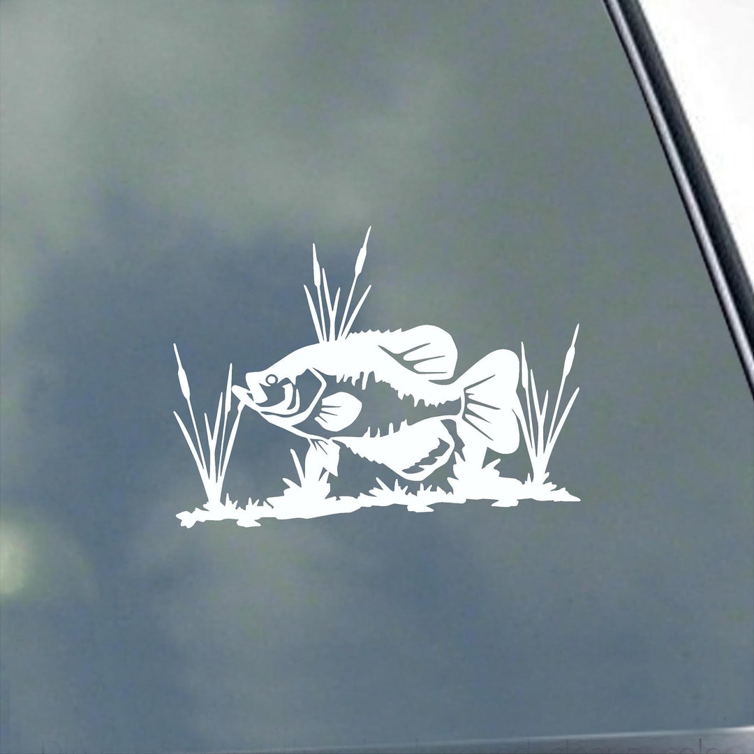 Crappie in Cattails Vinyl Sticker Fishing Fish Hunter Sportsman Car ...
