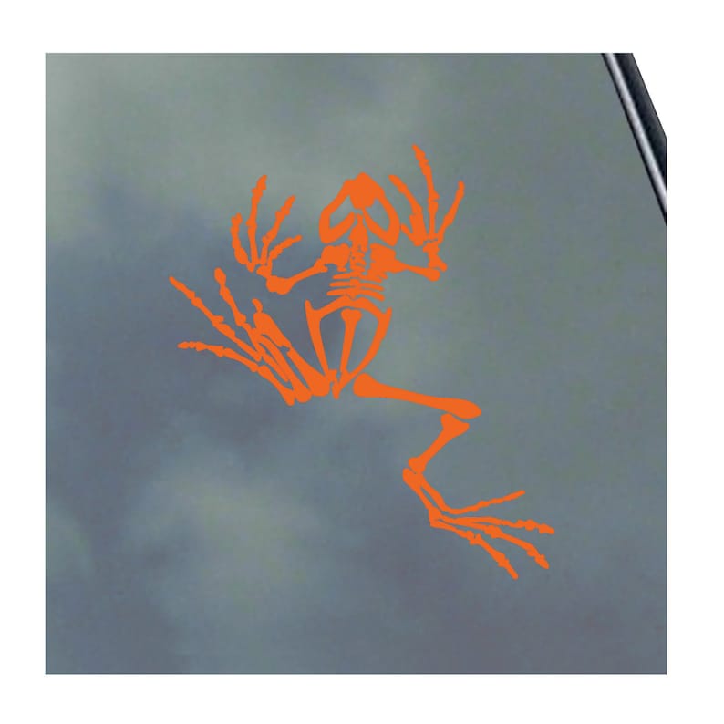 BONE FROG With NO Trident Vinyl Sticker Decal Military Navy | Etsy