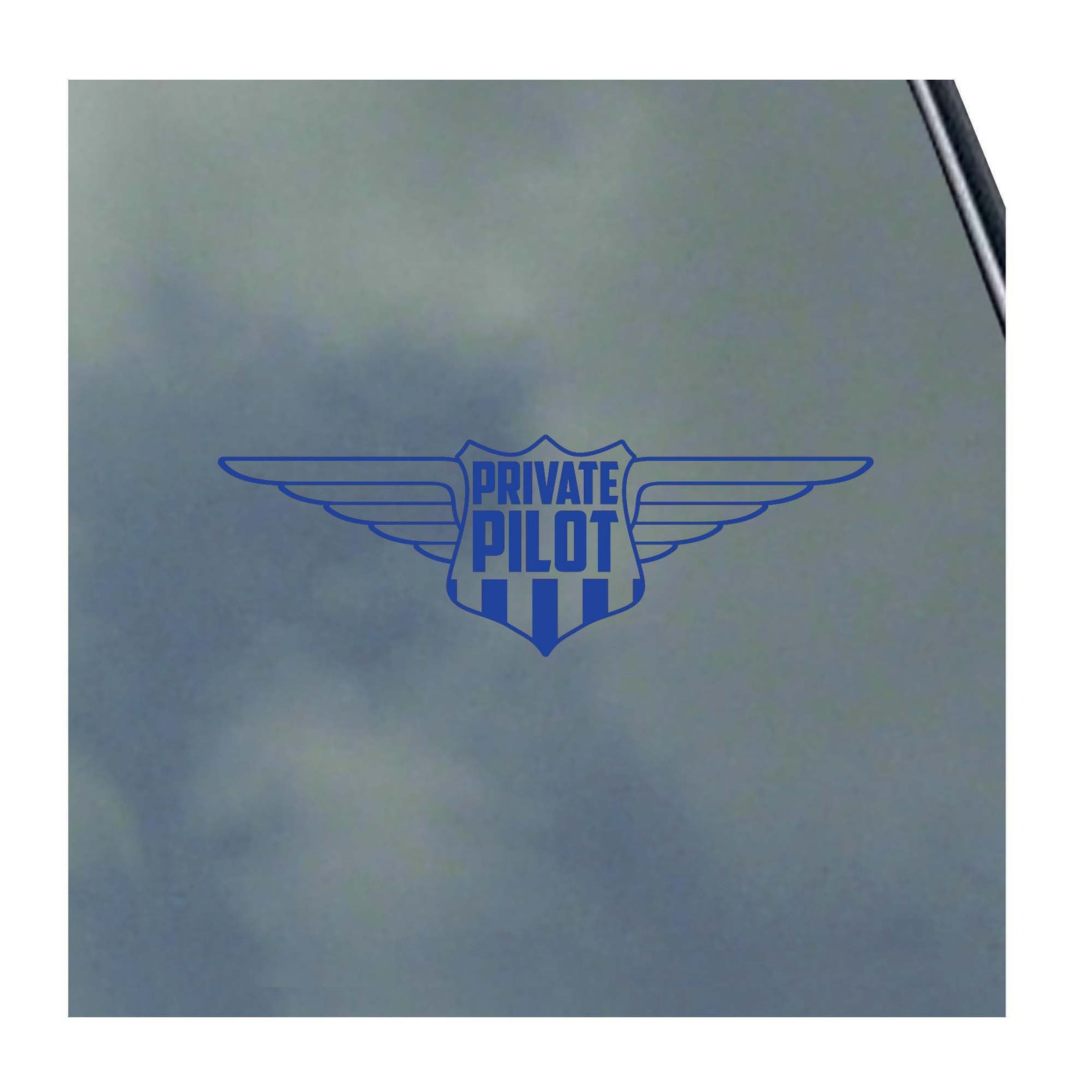 Private Pilot Wings Vinyl Sticker Decal Bush PPL License CFI Instructor ...