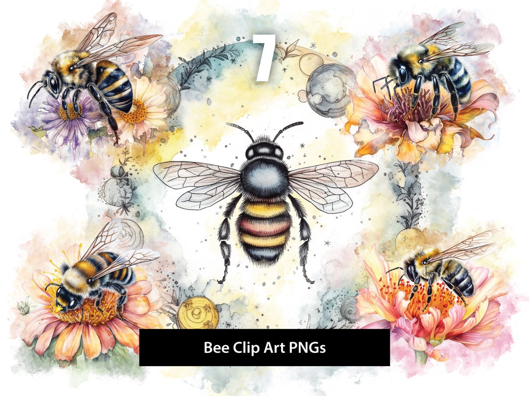 7 Bee Clipart Design Instant Digital Download Printable PNG 24 - Etsy