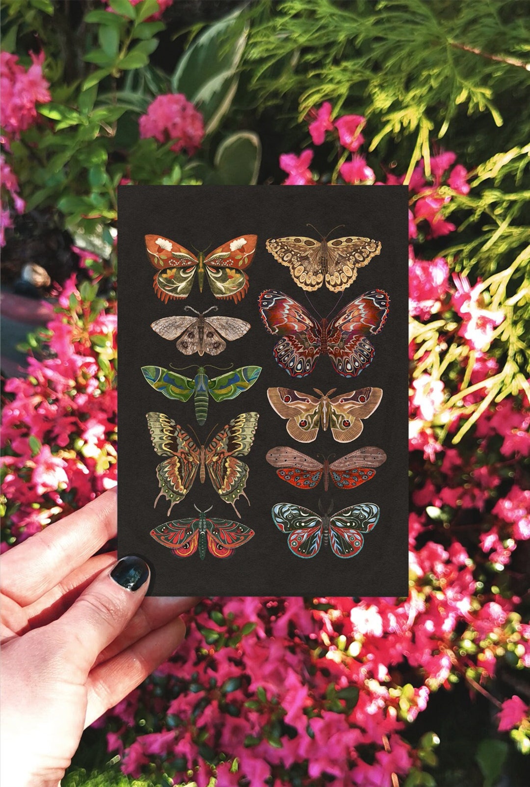 Butterflies & Moths at Night Card, Art Card, Handmade Card, Butterflies ...