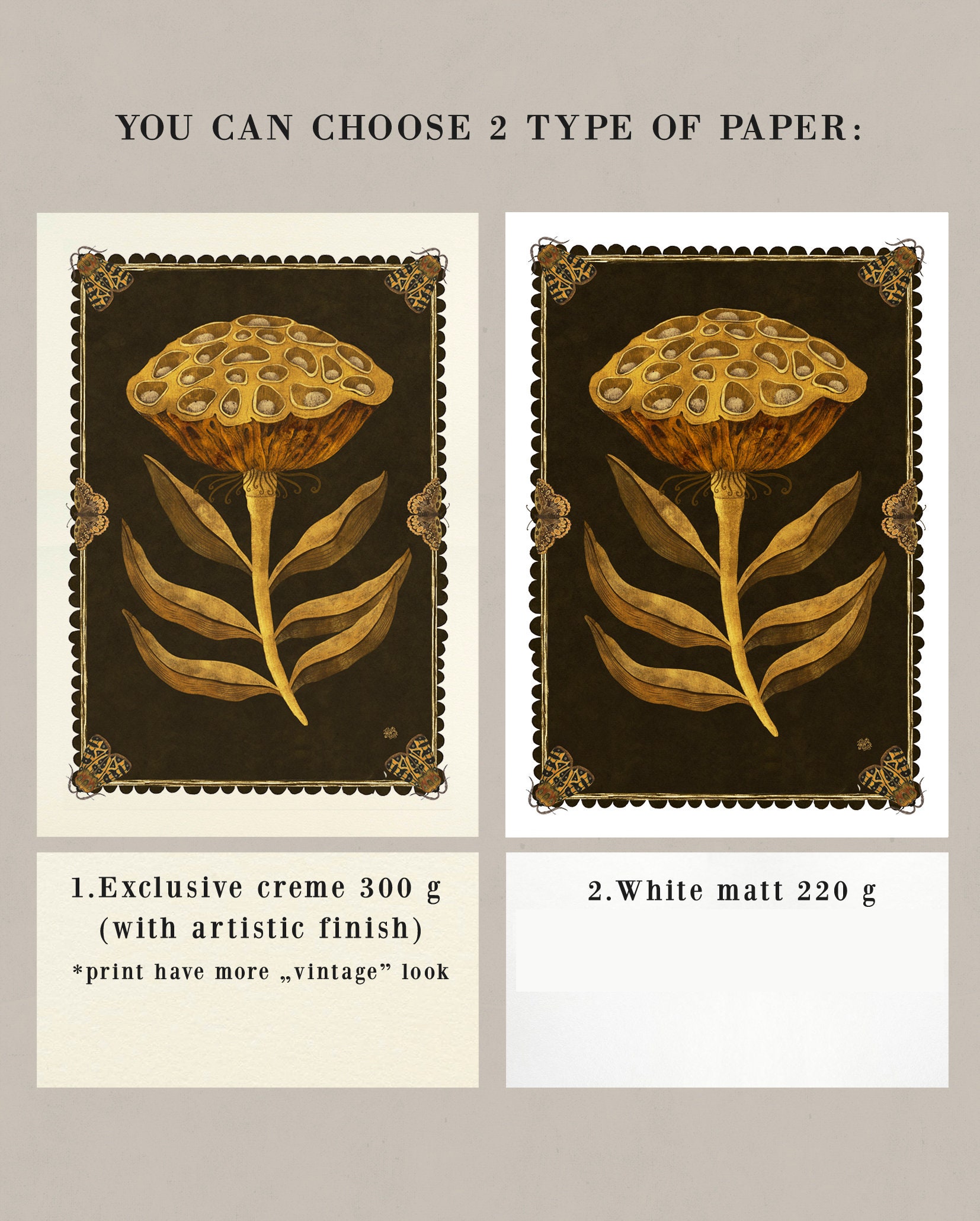 Lotus & Moths Art Print: Vintage Nature Illustration, Botanical Wall ...