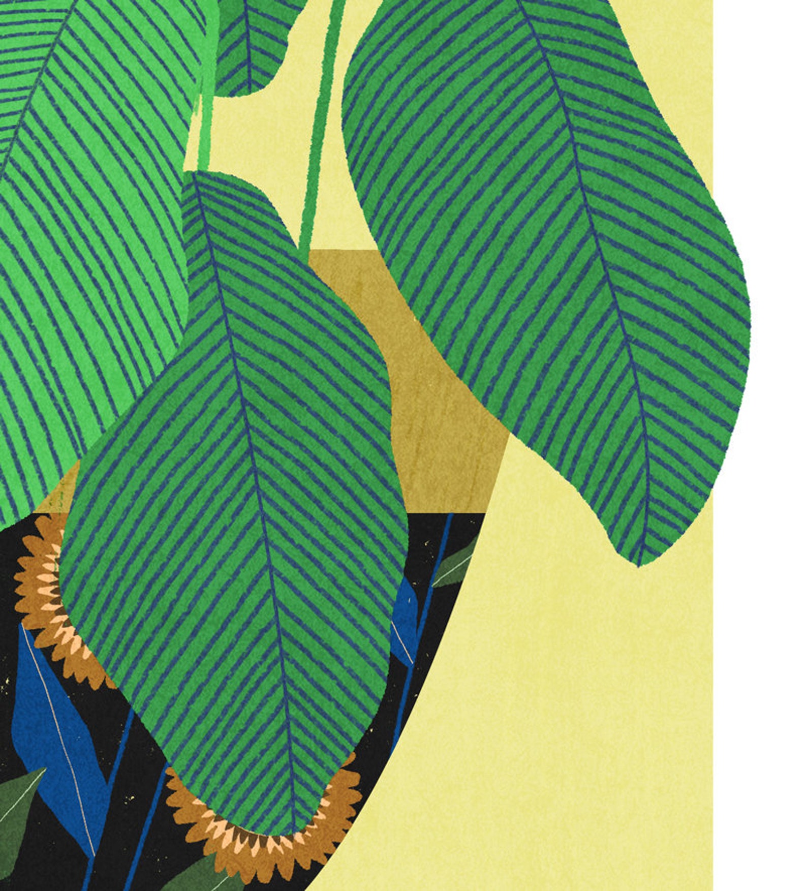 Calathea Plant Illustration Art Giclée Printbotanical - Etsy