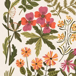 Wildflowers Botanical Art Print: Vintage Floral Illustration, Flowers ...