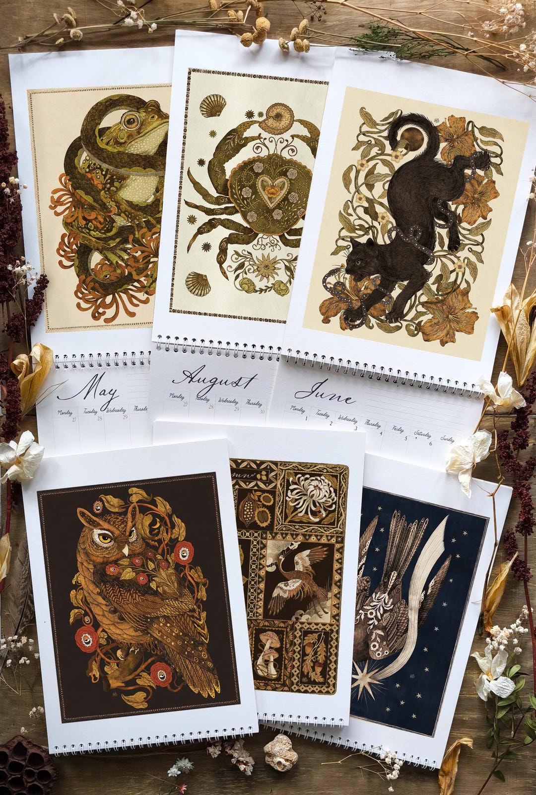 Wall Calendar Flora & Fauna 2026 : Illustrated 12 Month Calendar With ...