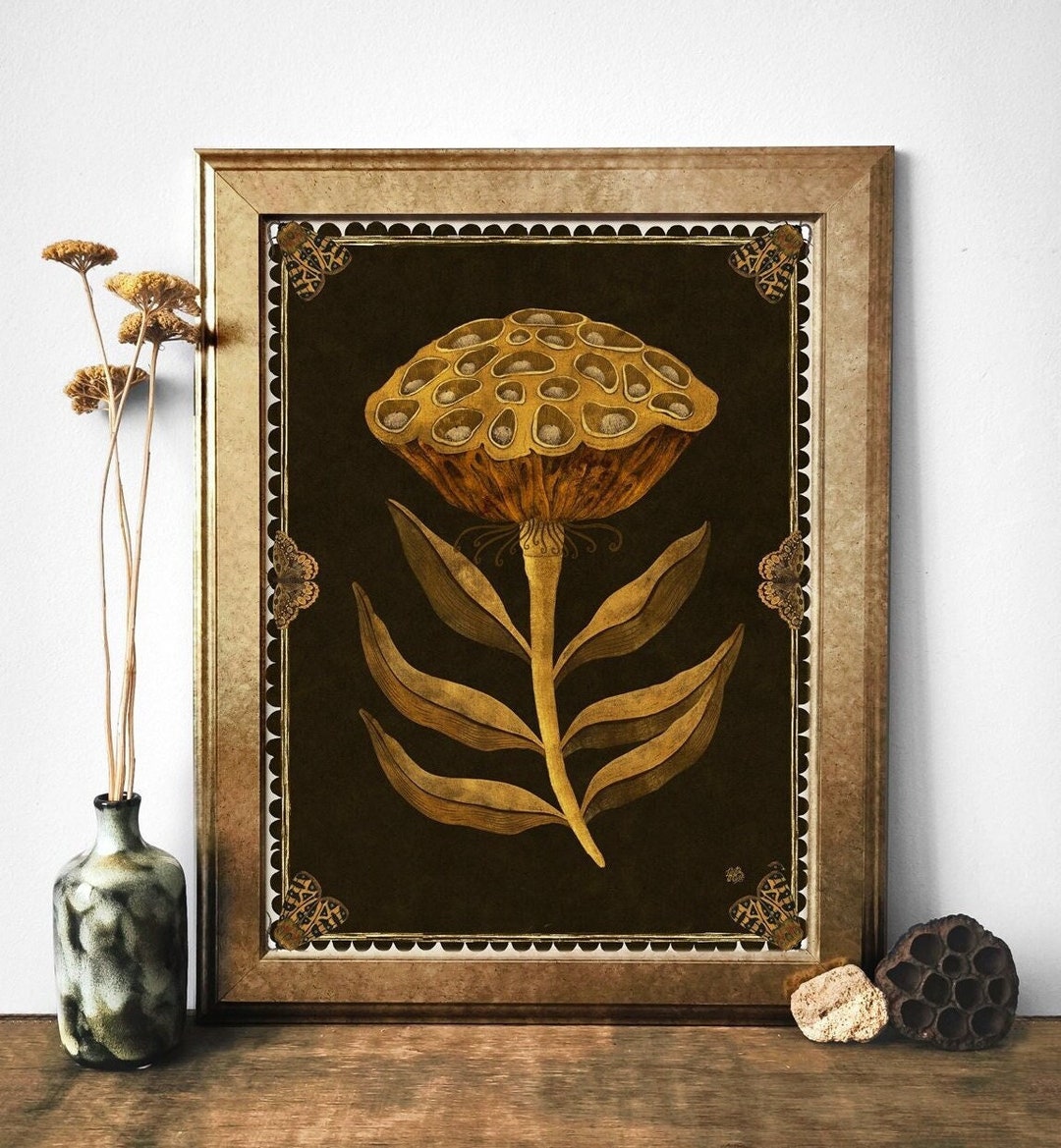 Dry Lotus and Moths, Botanical Illustrations, Magic Art Print, Boho ...