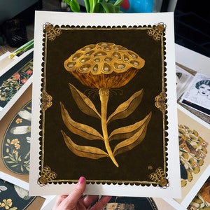 Dry Lotus and Moths, Botanical Illustrations, Magic Art Print, Boho ...