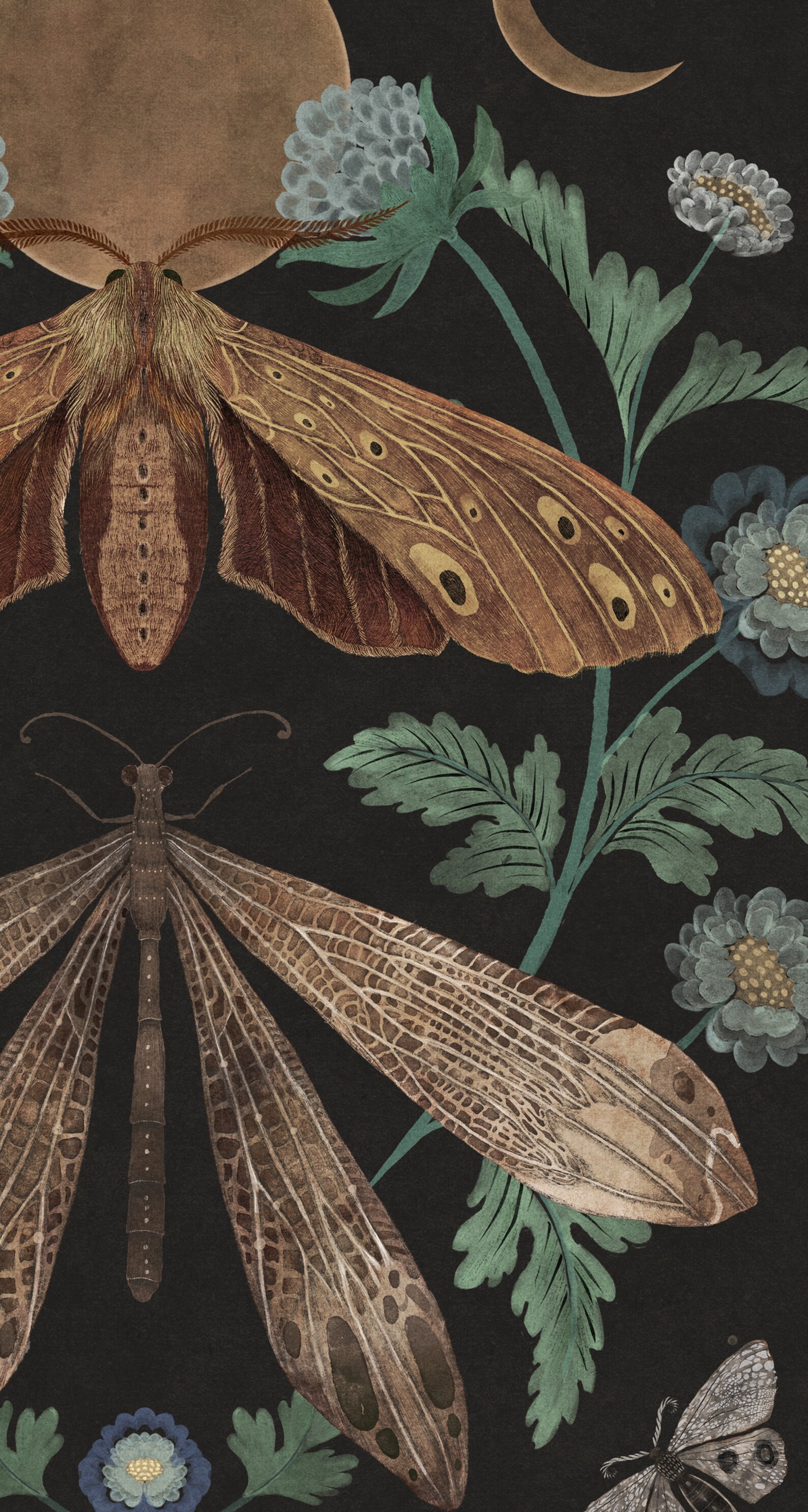 Moths and Moon Art Print, Witchy Home Decor, Magic Art, Illustration ...