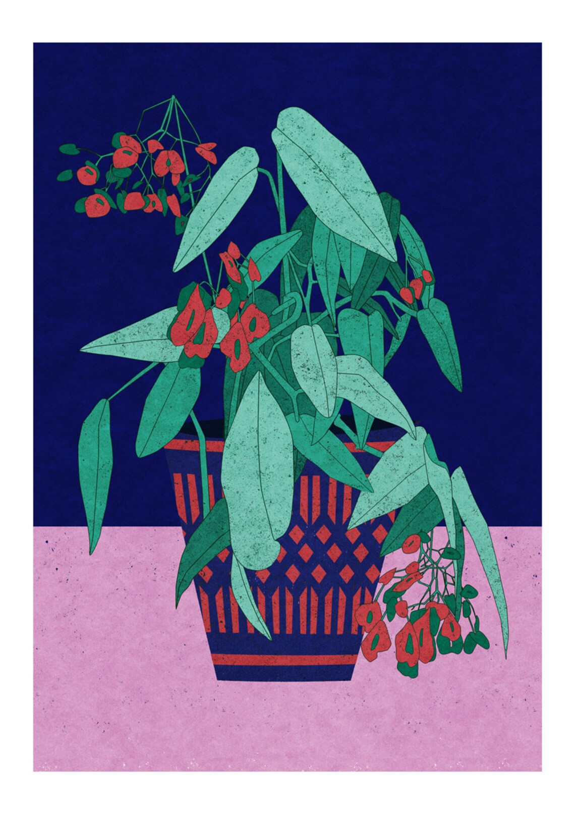 Begonia Flowers Illustration Art Giclée Print,house Plants Print ...
