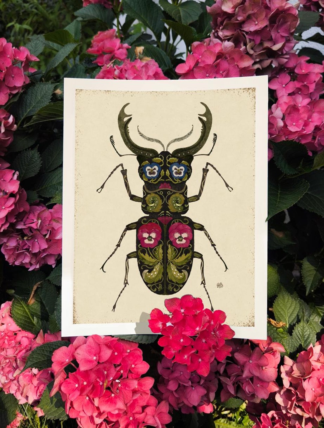Beetle Art Print: Vintage Botanical Insect Wall Decor, Insect Poster - Etsy