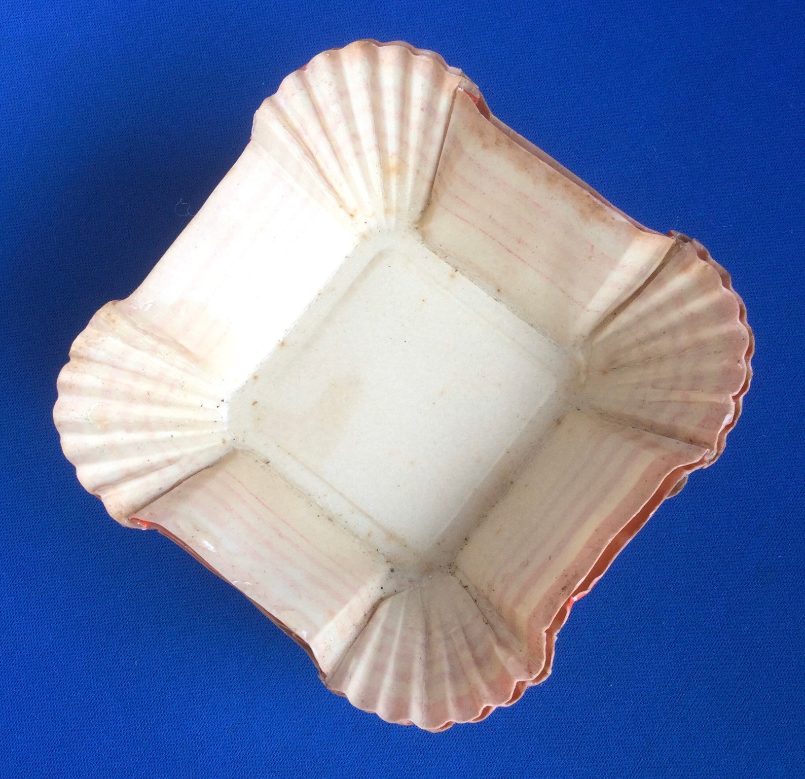 14 Square 1950s Baking Cases - Etsy