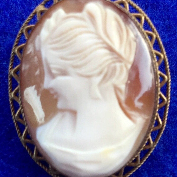 Shell Cameos - Etsy