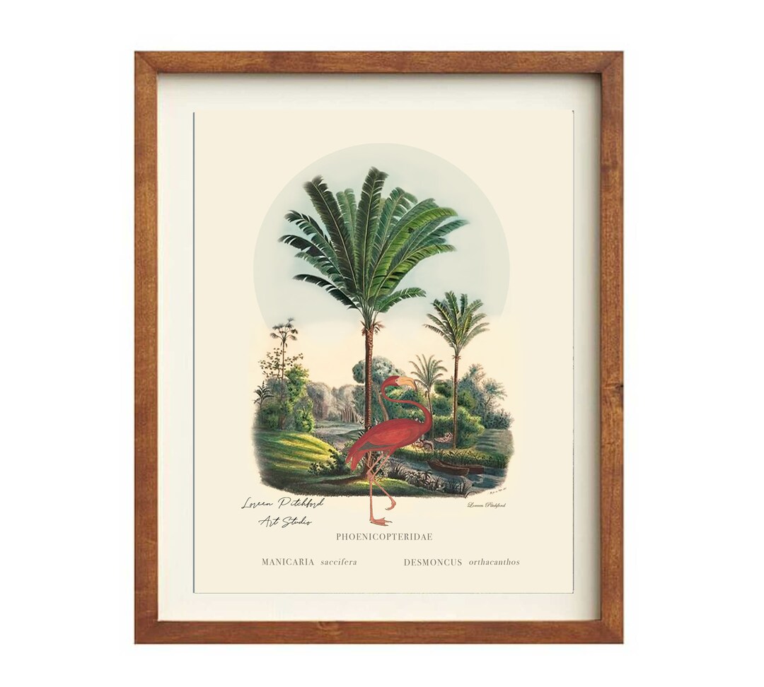 Antique Lithograph Palms Trees and Antique Extinct Flamingo - Etsy