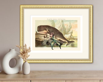 Antique Folk Art Mermaid Painting, Mary Ann Willson, Mermaid Fraktur ...