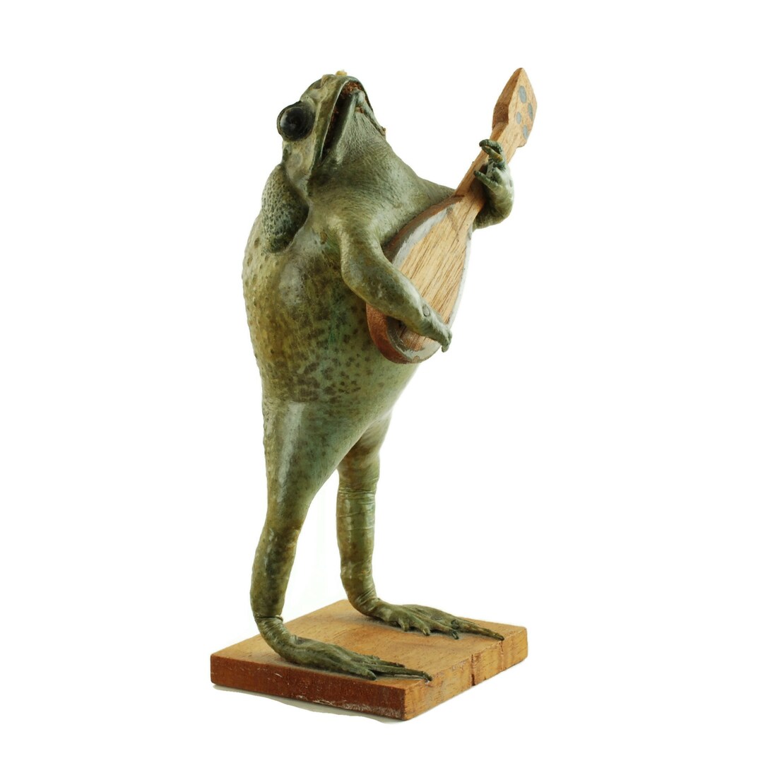 Vintage Frog Taxidermy Folk Art Figure on Wood Base, Frog Playing ...