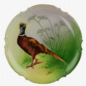 Antique French Porcelain L. Coudert Game Bird Series Cabinet Plates ...