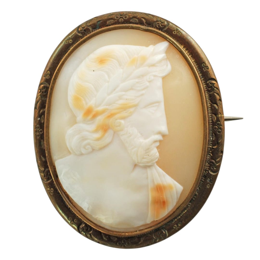 Antique Hand Carved Zeus Shell Cameo Brooch Pin With C-clasp and Tube ...