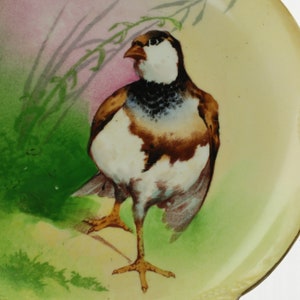 Antique French Porcelain L. Coudert Game Bird Series Cabinet Plates ...