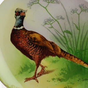 Antique French Porcelain L. Coudert Game Bird Series Cabinet Plates ...
