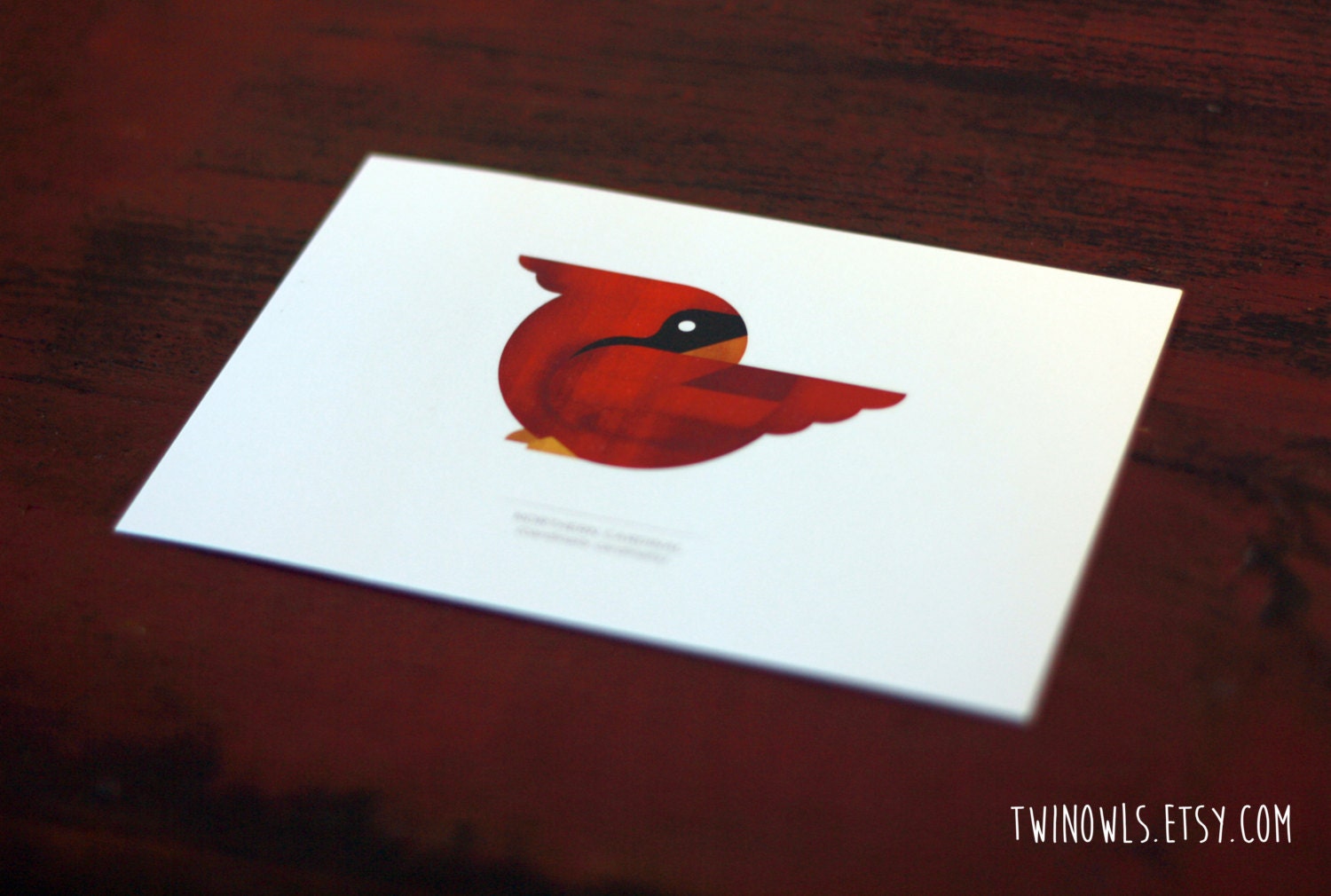 Red Northern Cardinal Print Signed Canadian Wildlife Series - Etsy