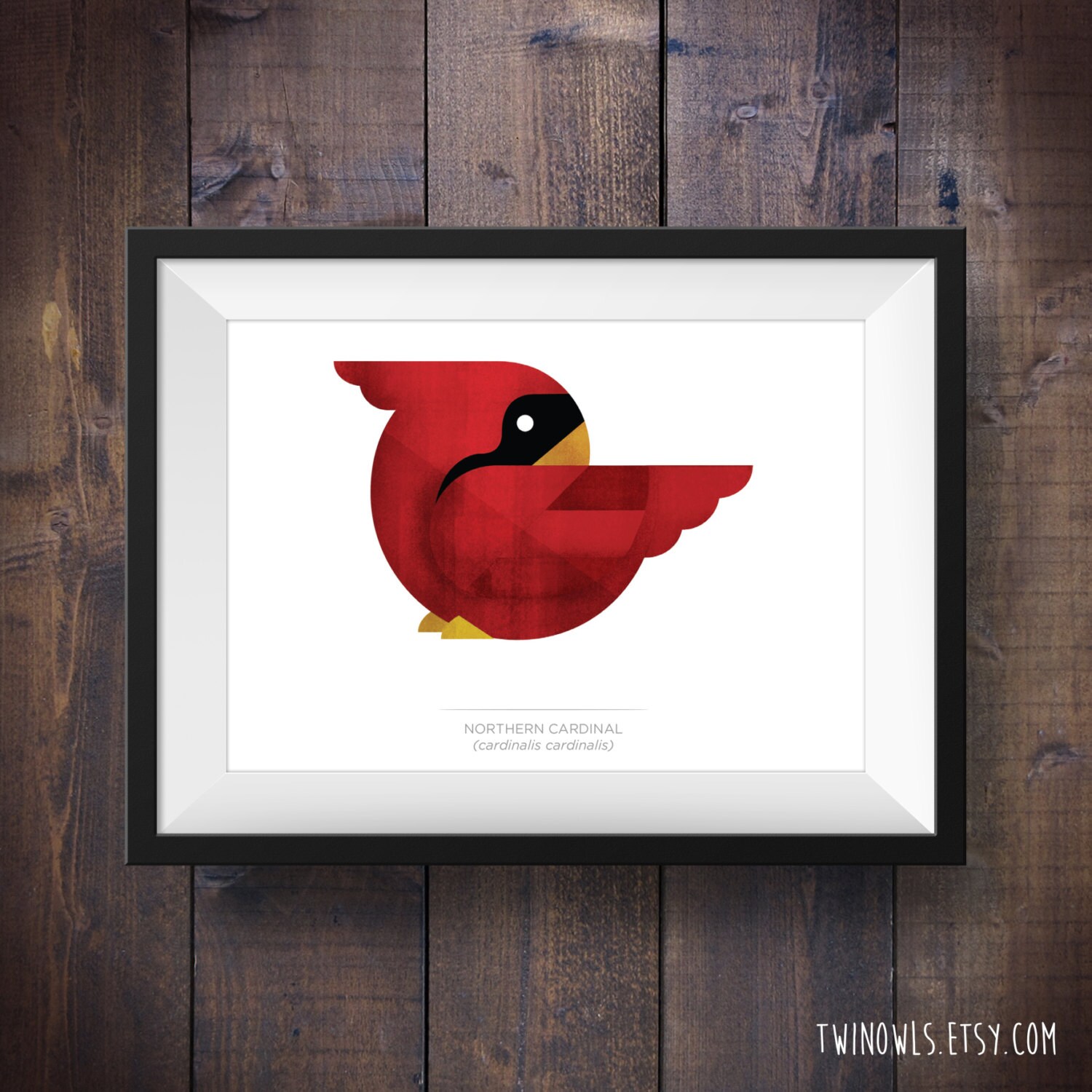 Red Northern Cardinal Print Signed Canadian Wildlife Series - Etsy