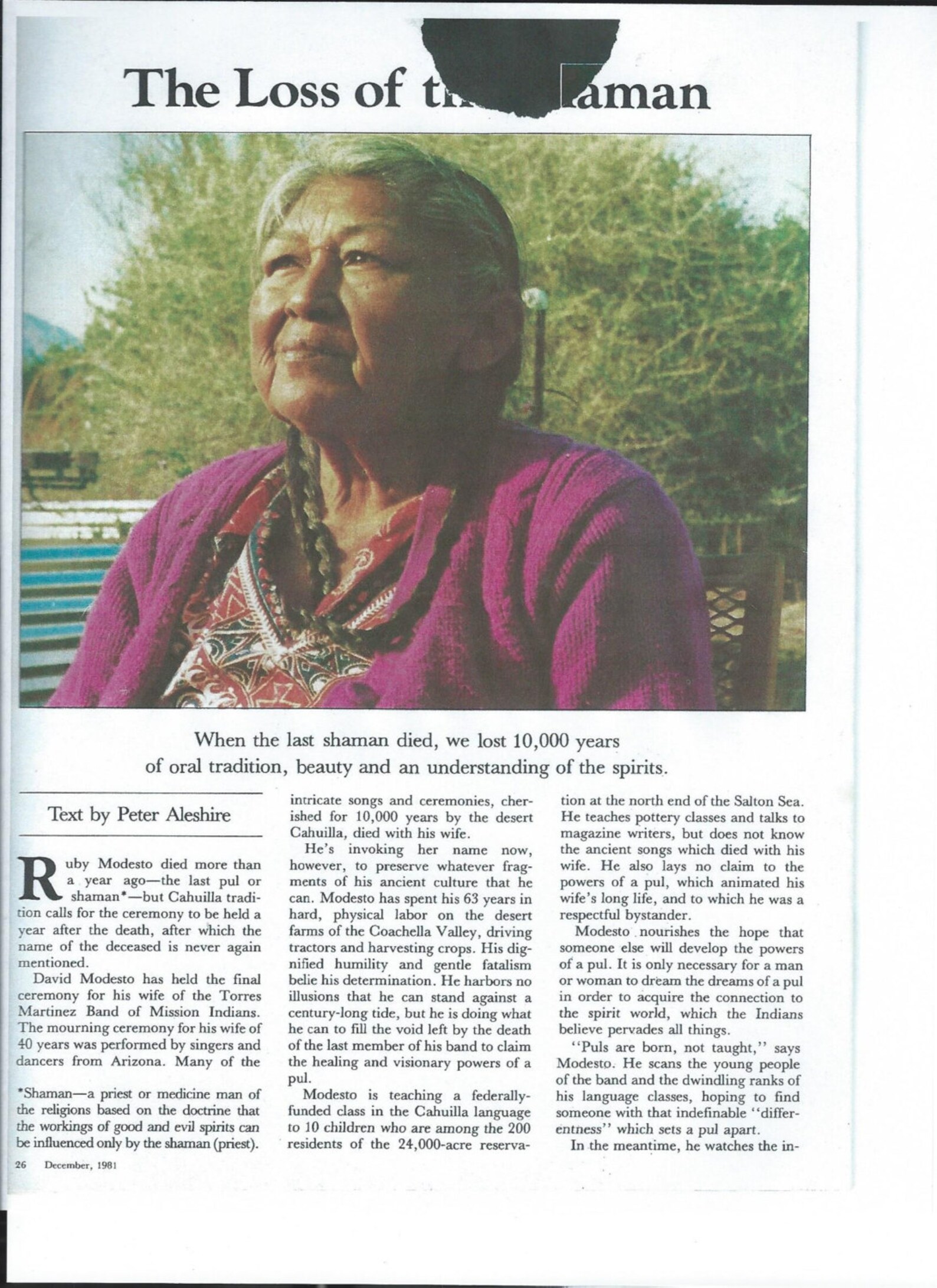 Ramon Rice Original Oil Painting the Last Shaman FREE SHIPPING 184 TVR ...