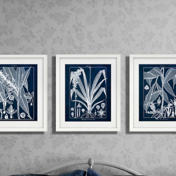 GnosisBotanicalArt - Etsy