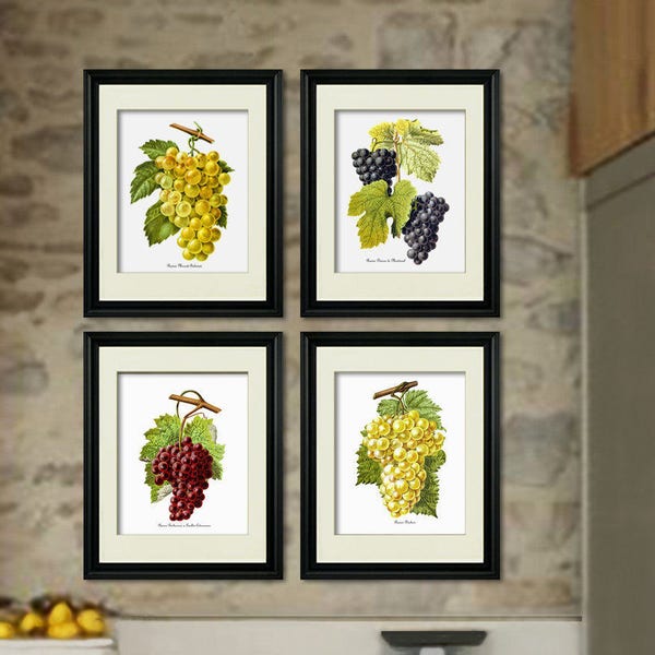 Grapes Wall Art - Etsy