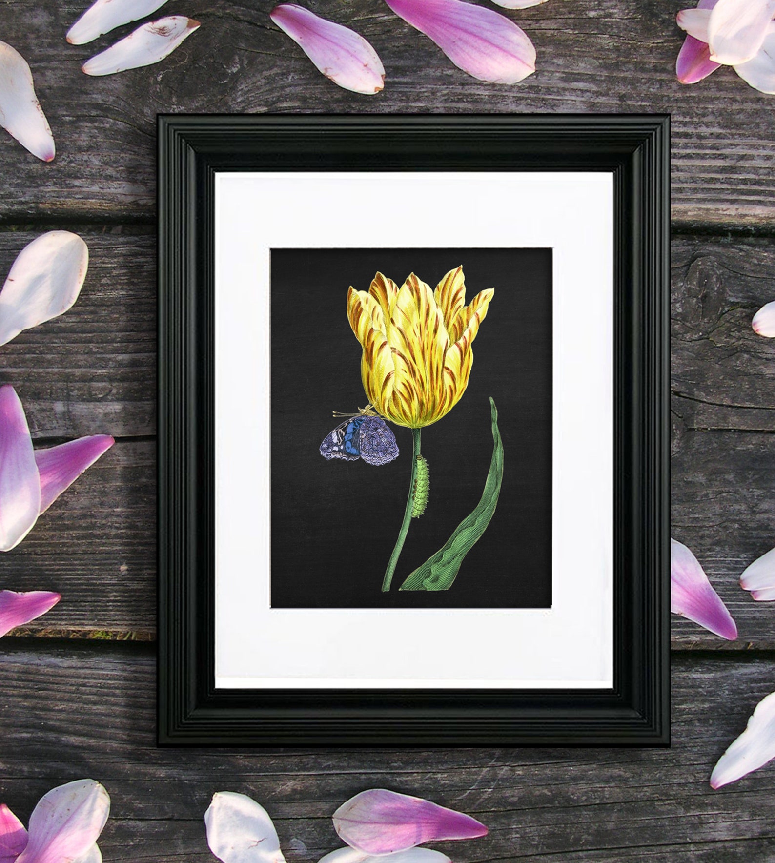 Tulips Botanical Prints Set of 6 Unframed Spring Wall Decor - Etsy