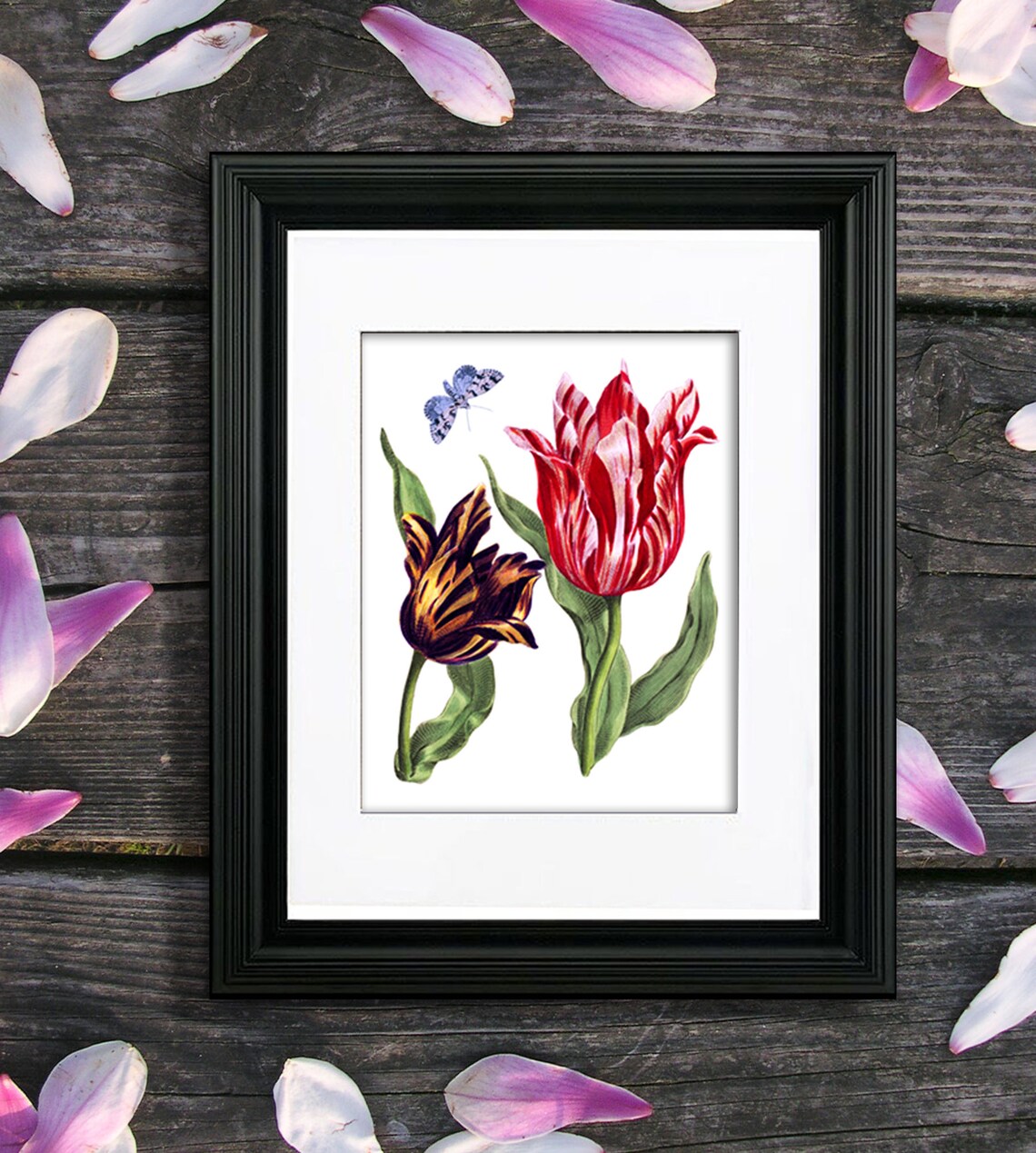 Tulips Botanical Prints Set of 6 Unframed Spring Bedroom Wall | Etsy