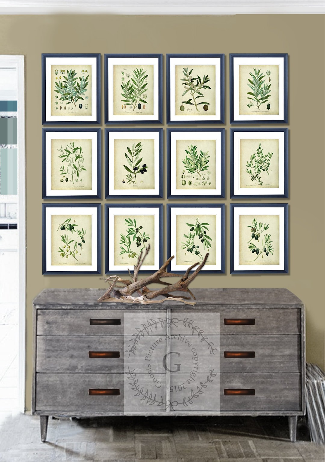 Greenery Focal Wall Decor Olive Branch Prints Set of 12 Botanical ...