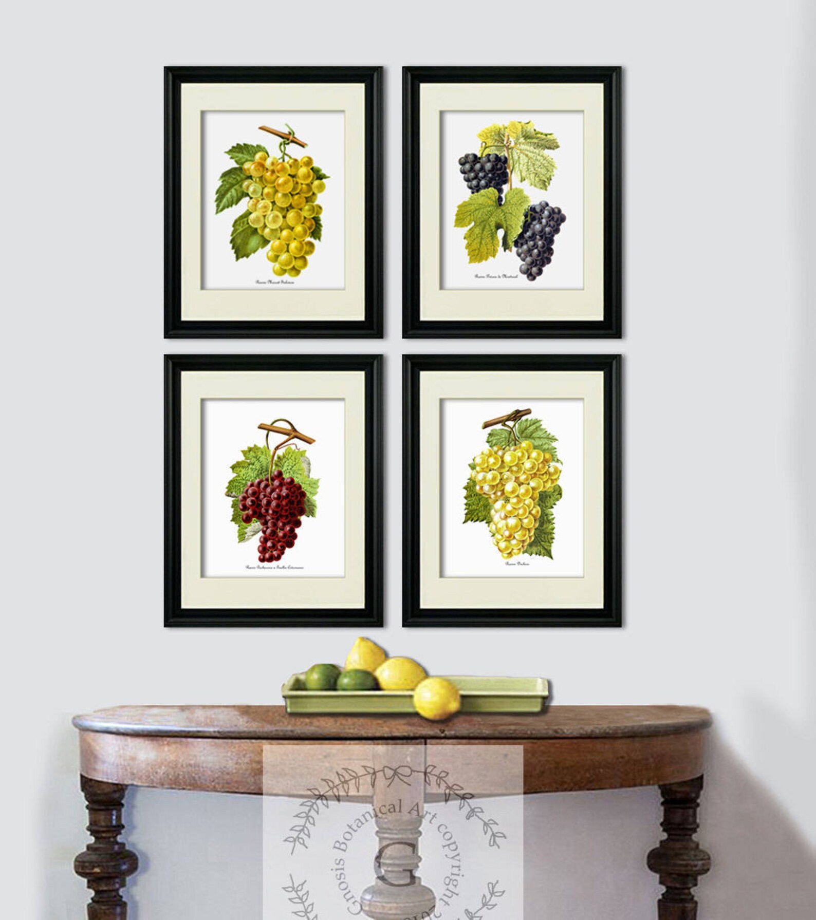 Grapes Wall Art Set of 4 Prints French Wine Grapes Art Gift | Etsy