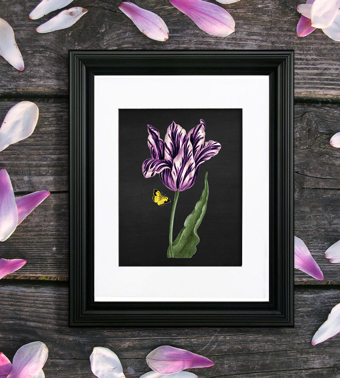 Tulips Botanical Prints Set of 6 Unframed Spring Wall Decor - Etsy