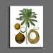 Coconut Tree Wall Art, Botanical Print, Tropical Fruit Art Decor ...