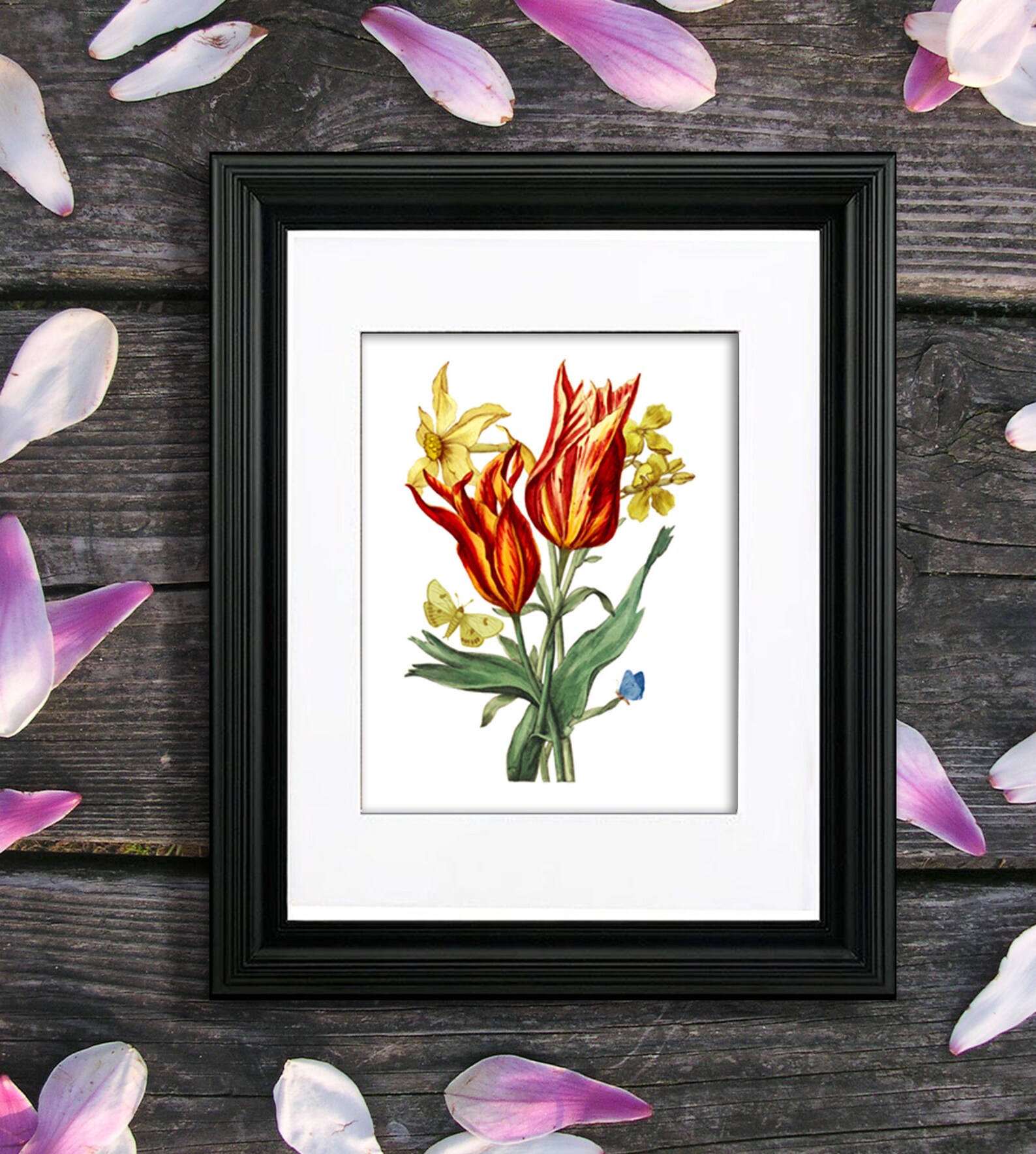 Tulips Botanical Prints Set of 6 Unframed Spring Bedroom Wall - Etsy