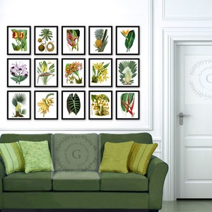 Coconut Tree Wall Art, Botanical Print, Tropical Fruit Art Decor ...