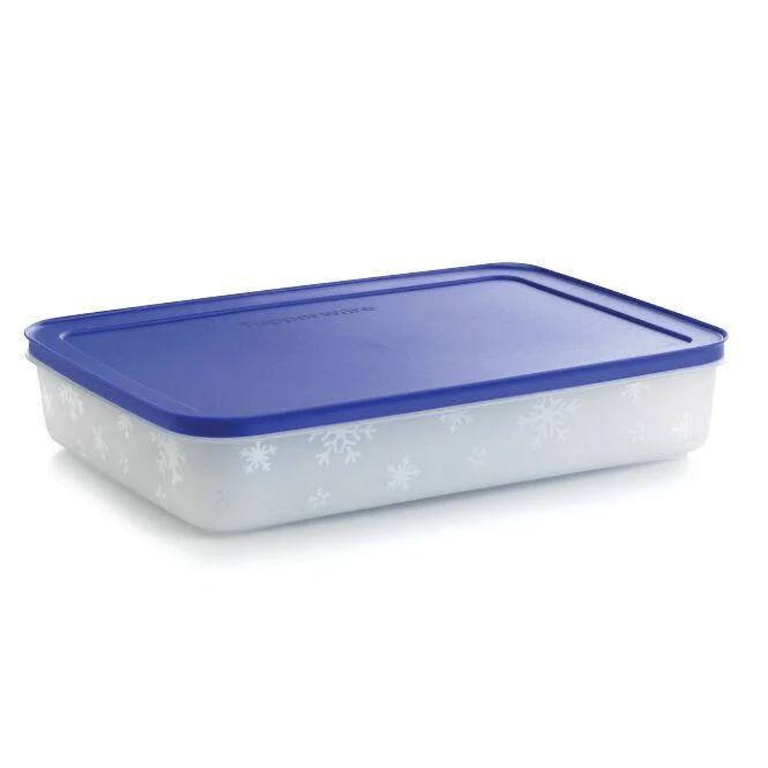 FREEZER MATES® PLUS Large Shallow Tupperware New Containers Storage - Etsy