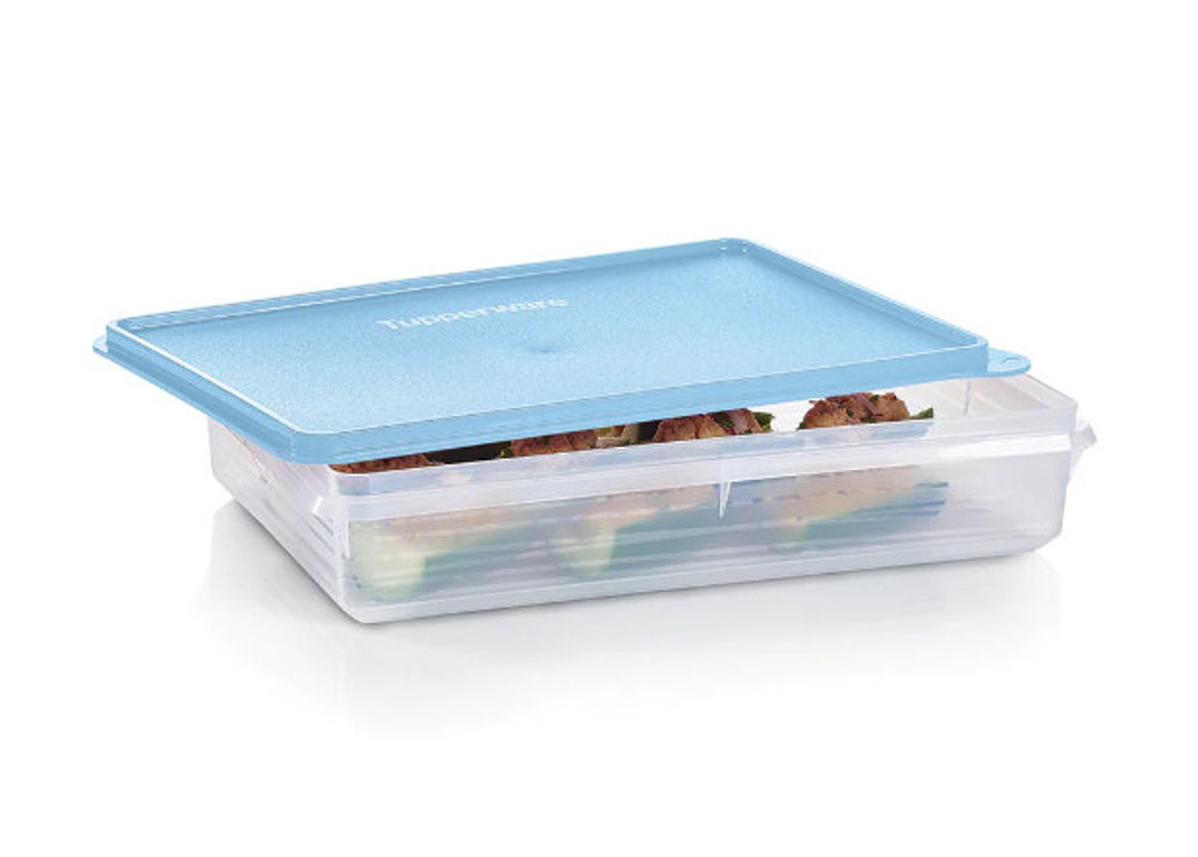 SNACK STORE Large CONTAINER Ice Cube Tupperware - Etsy