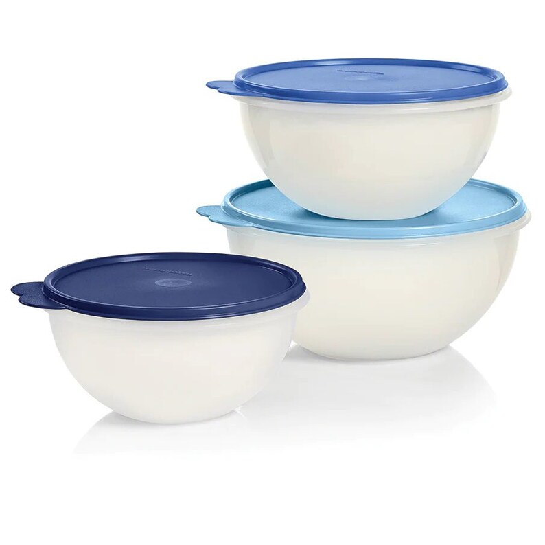 Tupperware WONDERLIER BOWL 3 Piece Set With Lids - Etsy