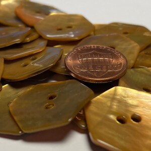 6 Pcs Only Iridescent Dyed Gold Abalone MOP Mother of Pearl - Etsy