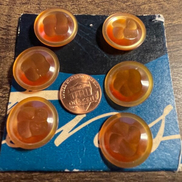 Amber Buttons - Etsy