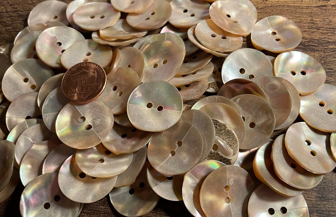 6 Beautiful Vintage Curvy Wavy Iridescent Beige Abalone Natural Shell 2 ...