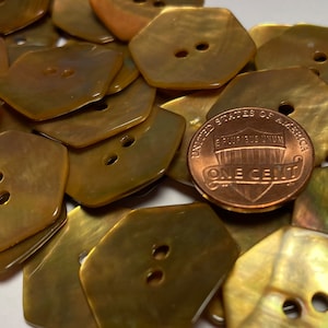 6 Pcs Only Iridescent Dyed Gold Abalone MOP Mother of Pearl - Etsy