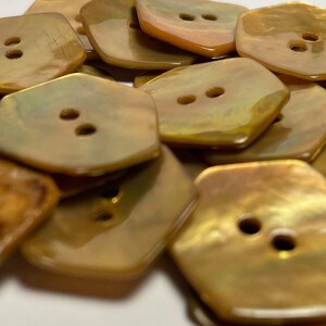 6 Pcs Only Iridescent Dyed Gold Abalone MOP Mother of Pearl - Etsy
