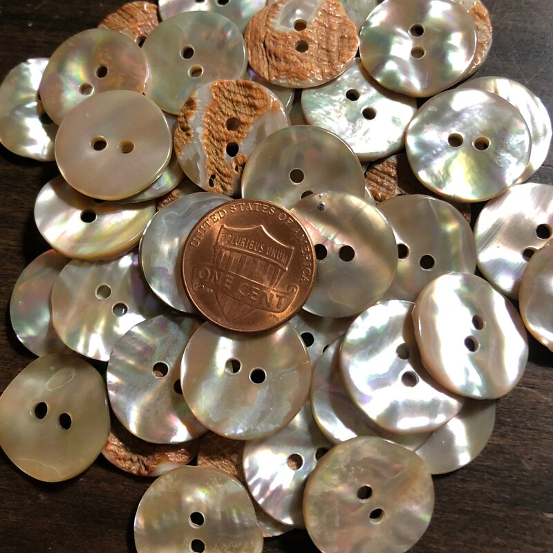 Abalone Buttons - Etsy