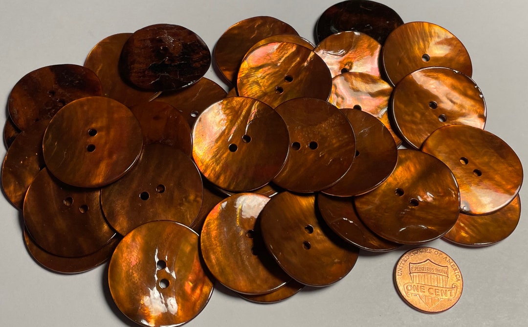 6 PCS ONLY! Set of 6 Beautiful Large Curved Iridescent Coppery Chestnut ...