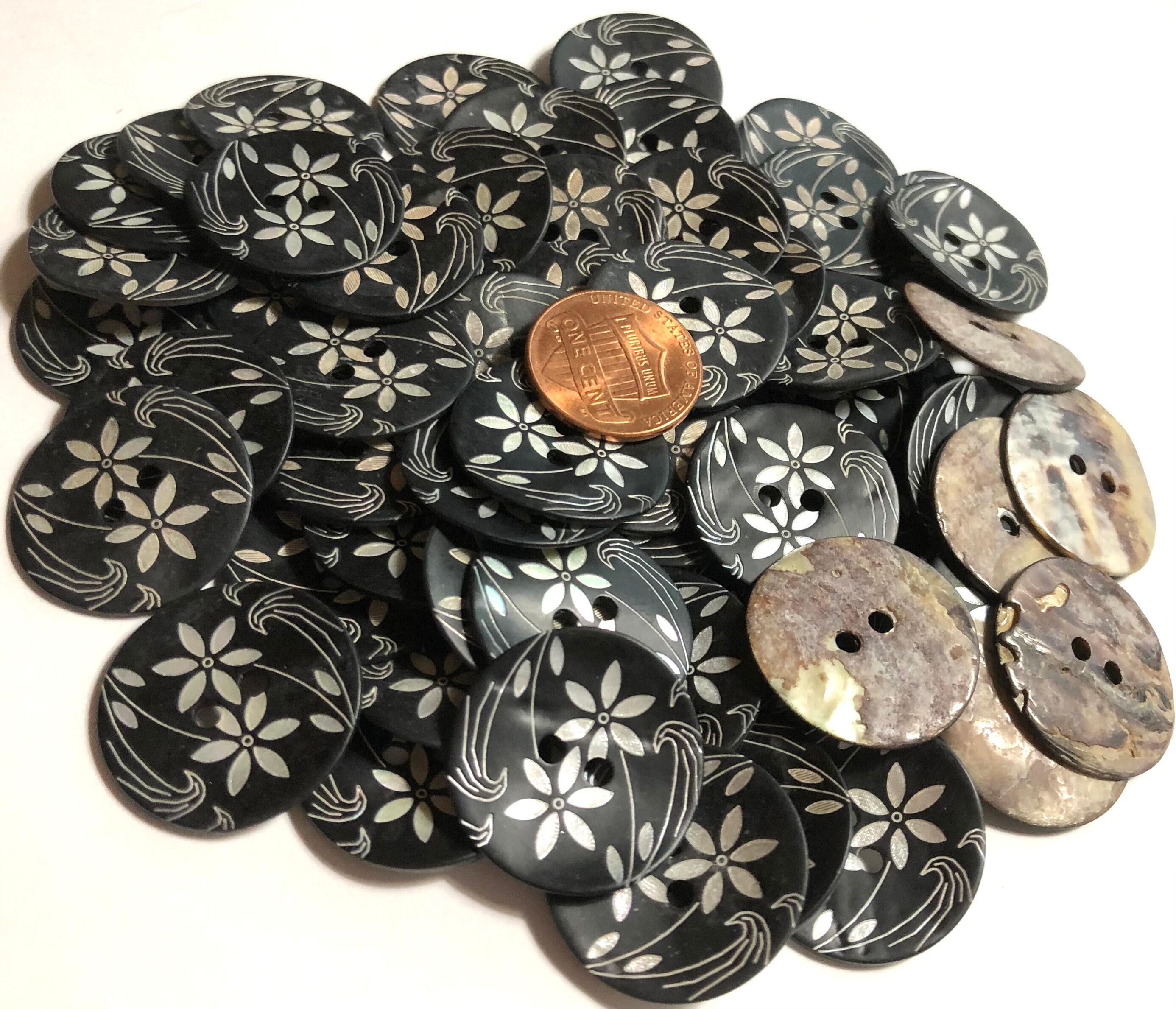 Buttons 5 Pcs Only Set of 5 Beautiful Iridescent Beige Natural Trocas ...