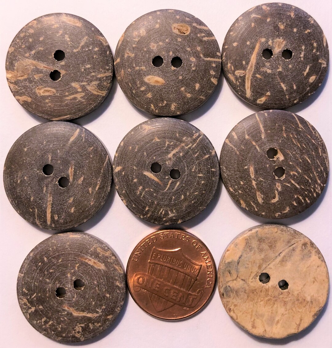 8 Natural Brown Coconut Shell 2-hole Sew-through Buttons 23mm 7/8 ...