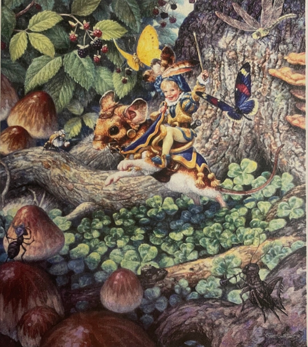 Tom Thumb by Heaven and Earth Designs Counted Cross Stitch PATTERN ONLY ...