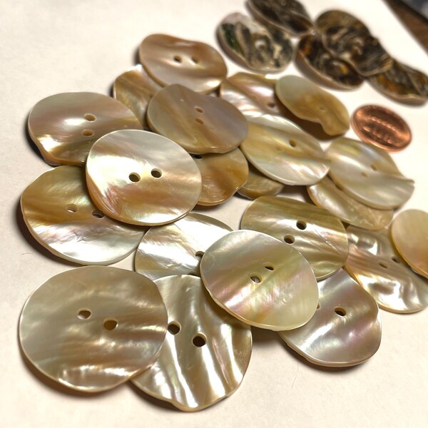 Abalone Buttons - Etsy